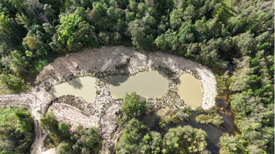 Soohiilakas sai uue kasvuala – keeruline, kuid vältimatu ...